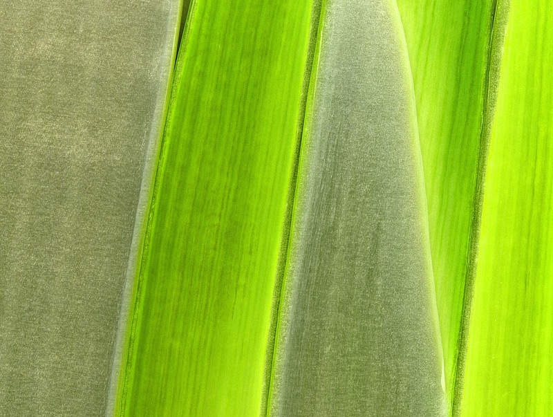 img-naturheilkunde-akupunktur - Dr. med. Oliver Preiss – Facharzt für ...